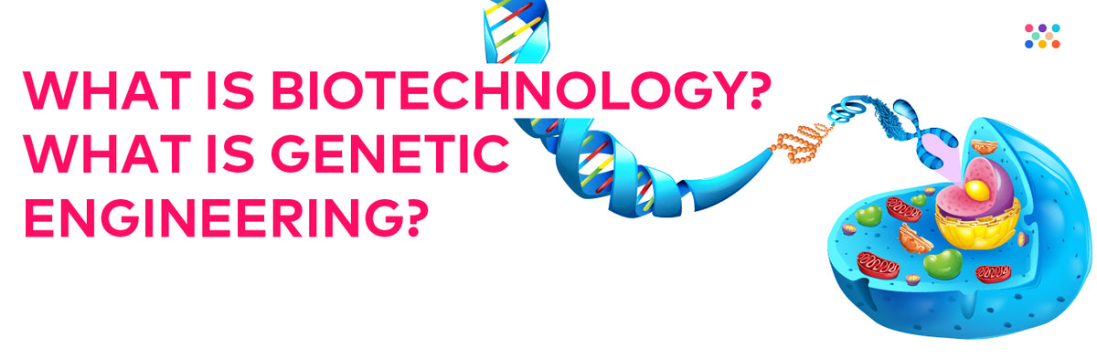 What is biotechnology? Genetic Engineering? – Amino Labs