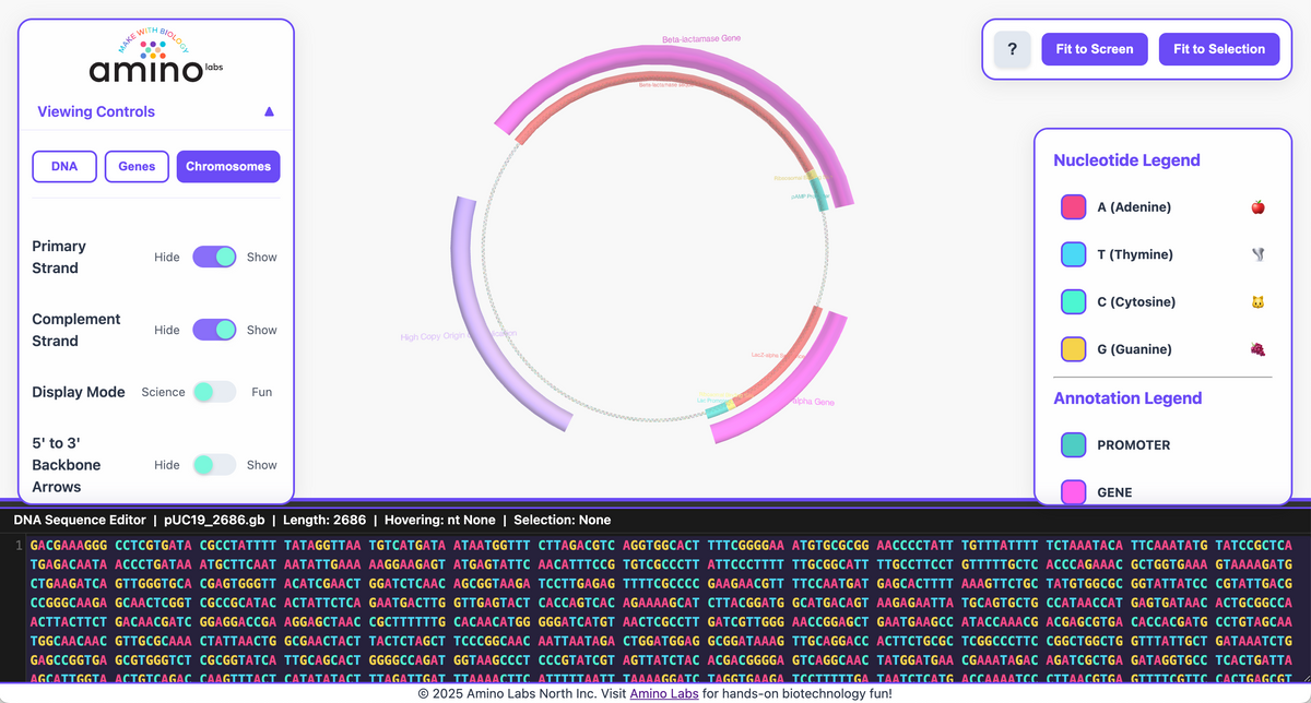 DNA, Genes and Chromosomes Viewer – Amino Labs