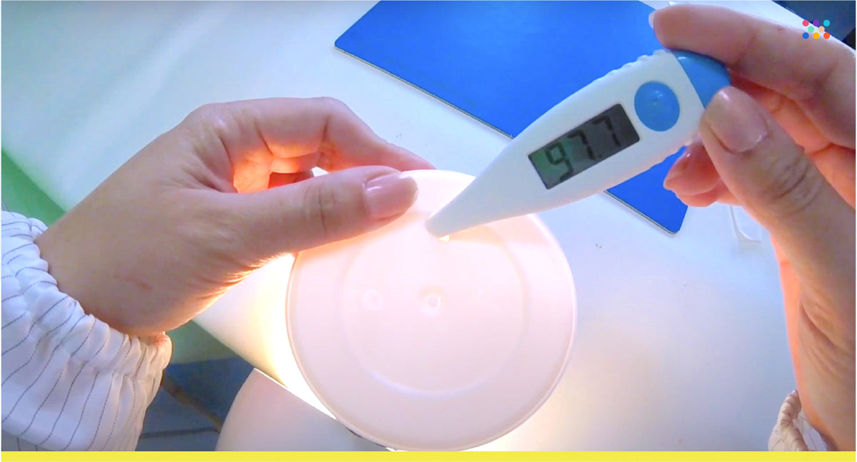 How to make a simple DIY incubator for your experiments at home or in ...