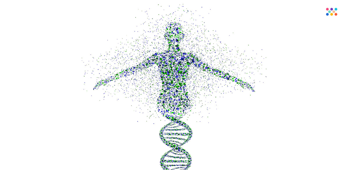 What is the Human Genome Project? – Amino Labs