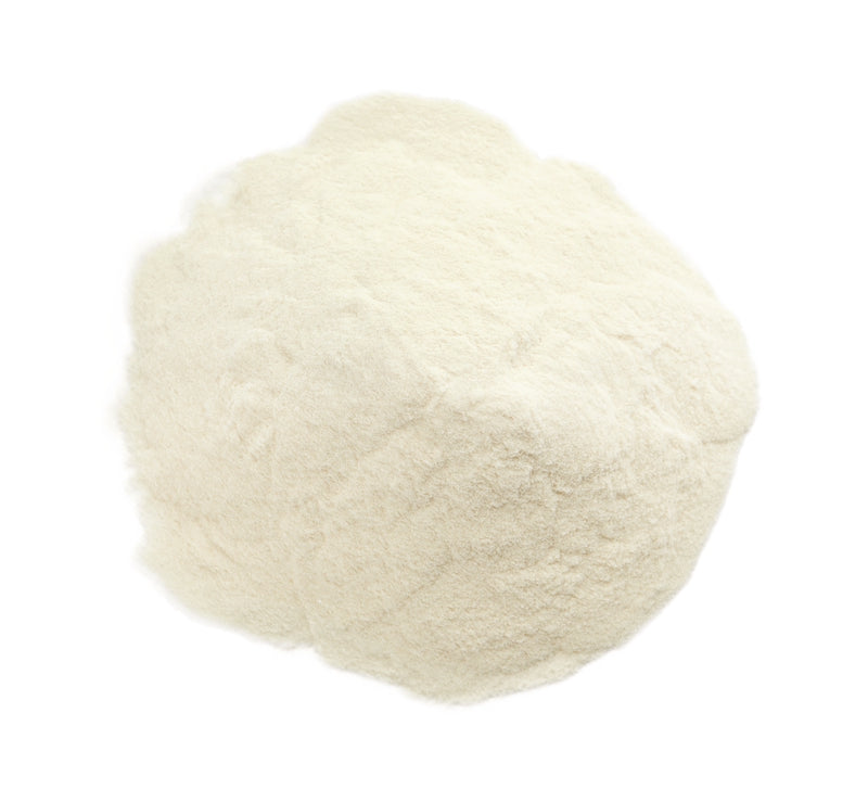 Bioplastic Ingredient: Bulk Agar Powder – Amino Labs